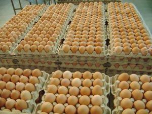 Προϊόντα | Σαββαΐδης Θεόδωρος & Υιοί Ε.Ε.